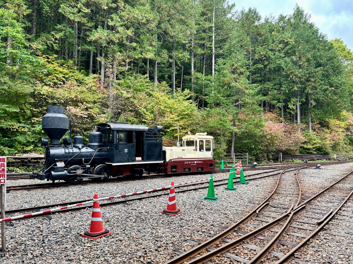 Akasawa Natural Recreation Forest - Forest Bathing on the Nakasendo ...