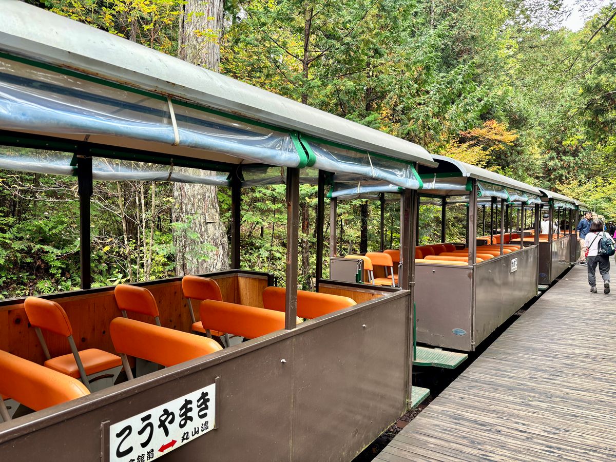 Akasawa Natural Recreation Forest - Forest Bathing on the Nakasendo ...