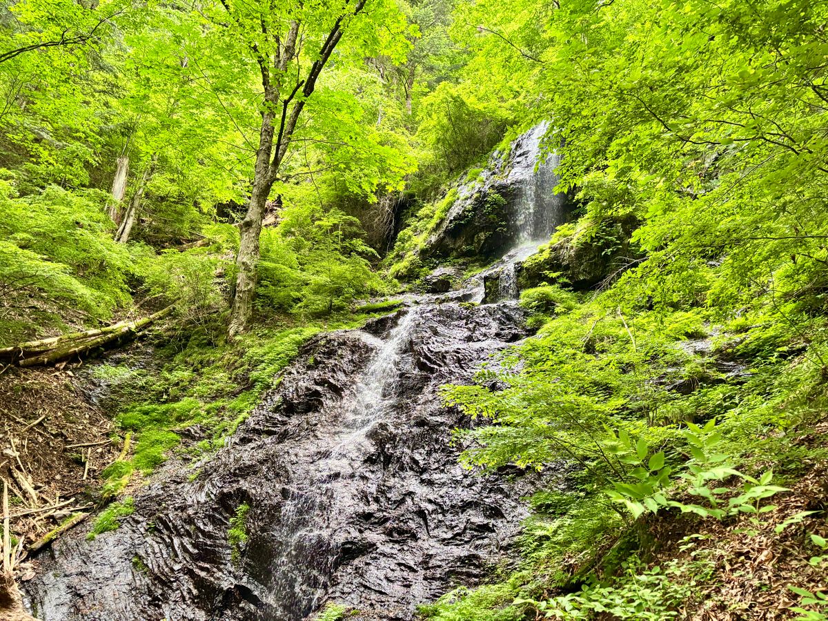 Kiso-Fukushima Joyama Nature Trail Hiking Experience | Dynamic Japan Travel