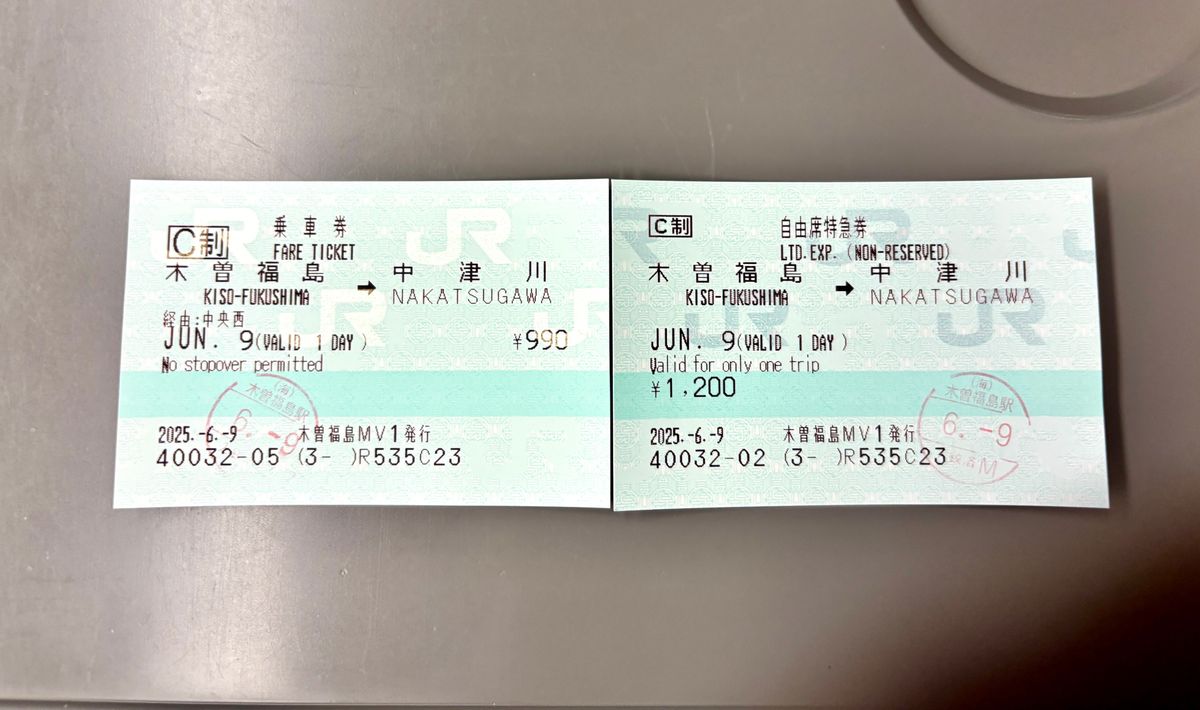 Limited Express Shinano: from Nagoya & Nagano to Kiso Valley | Dynamic ...